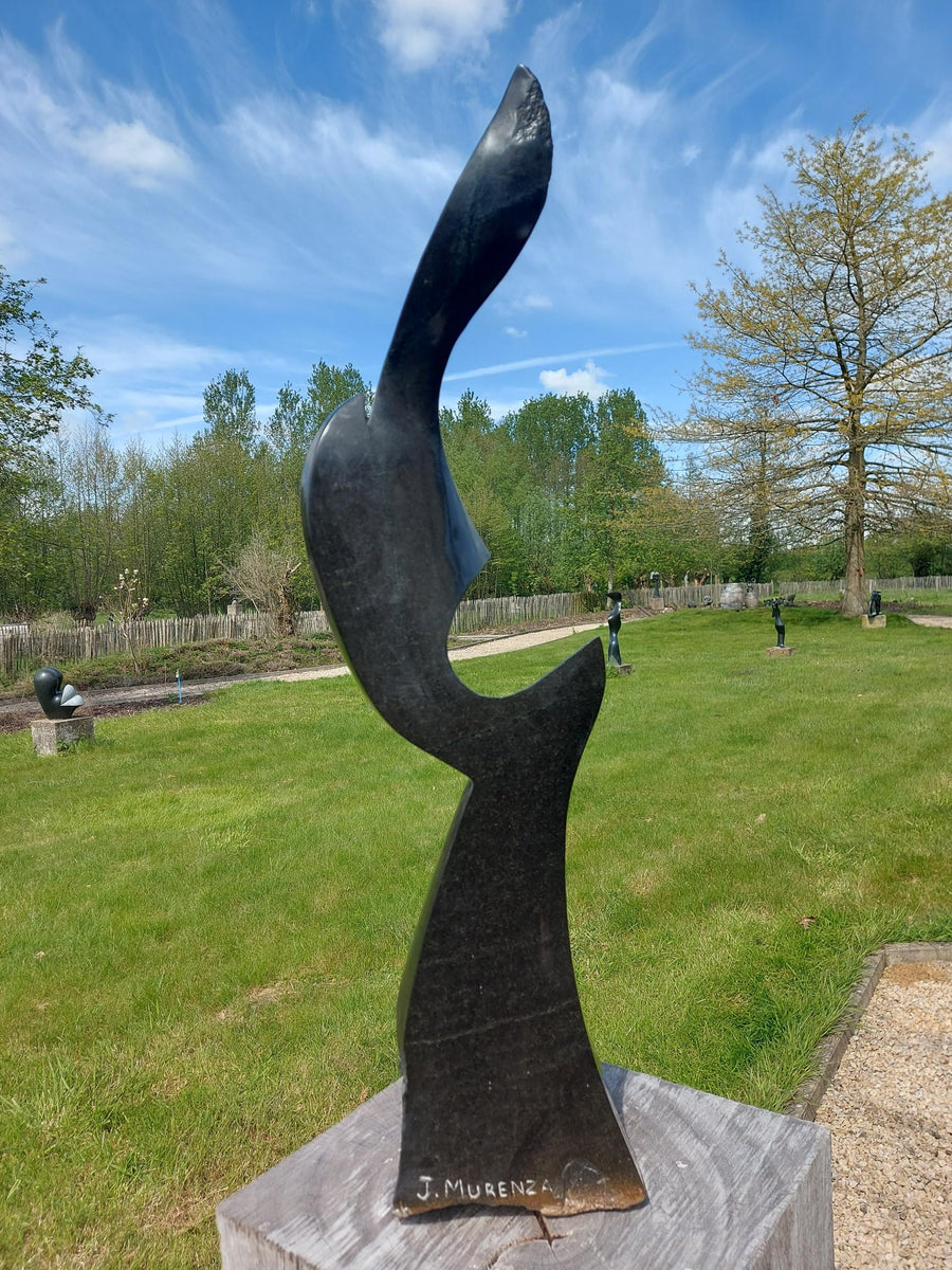 Mystic Solitude – Wereldbeeld.be