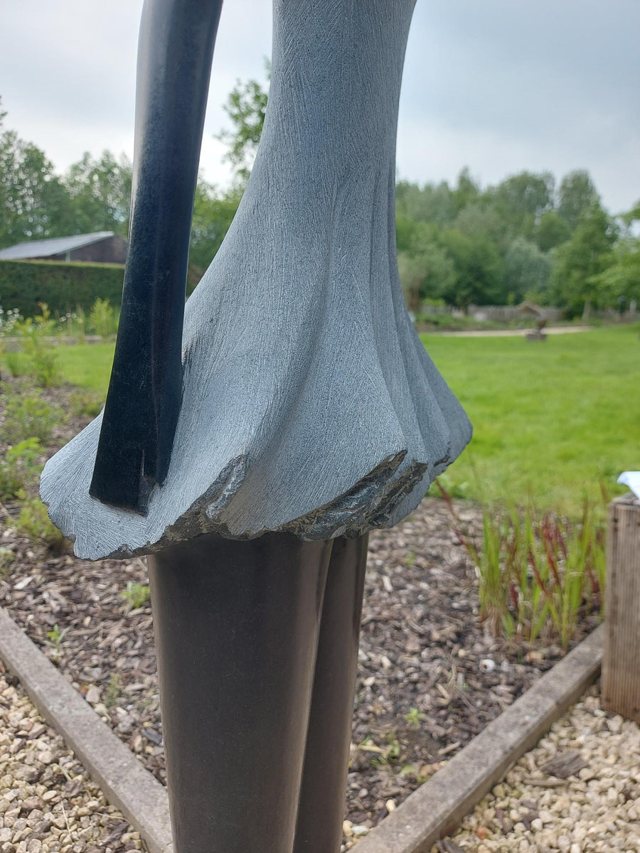 Ballerina girl – Wereldbeeld.be