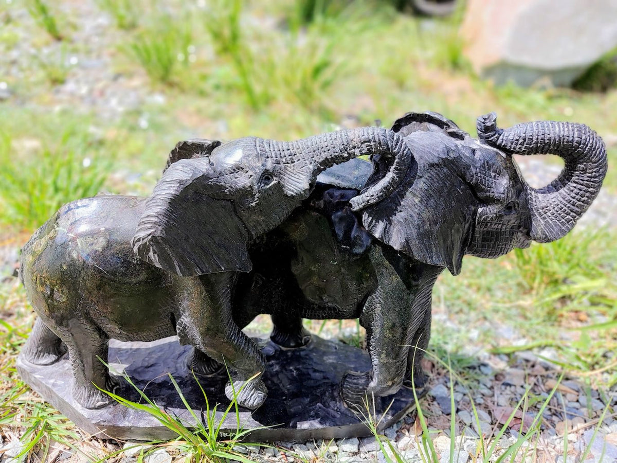 koppel olifanten – Wereldbeeld.be